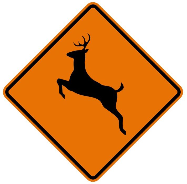Food Stamp Changes -- Deer Danger -- Expungement Clinic Results -- More