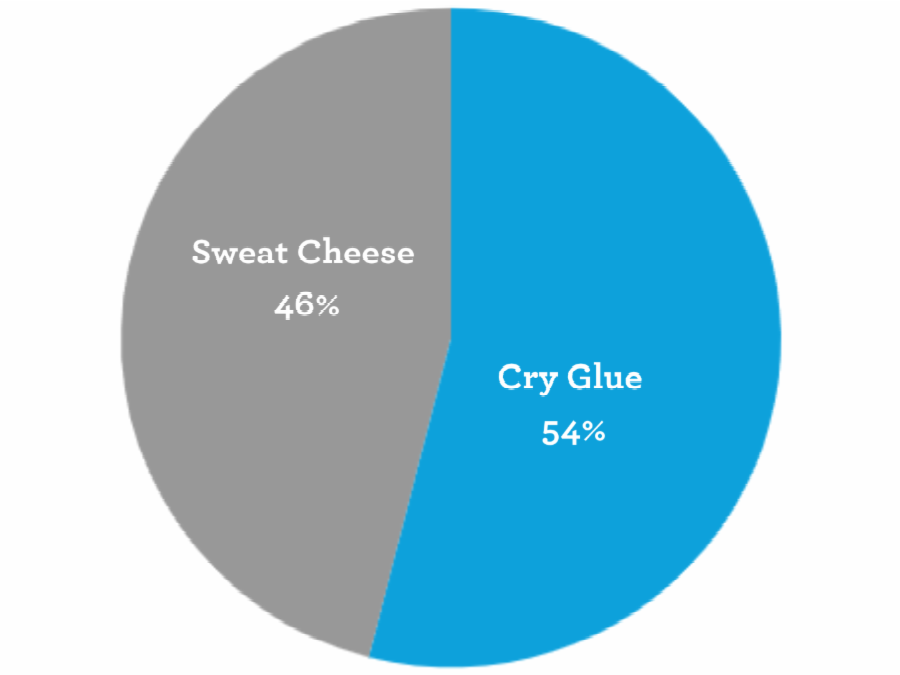 Team DPS Weekly: Thank You for Supporting the DPS Foundation!