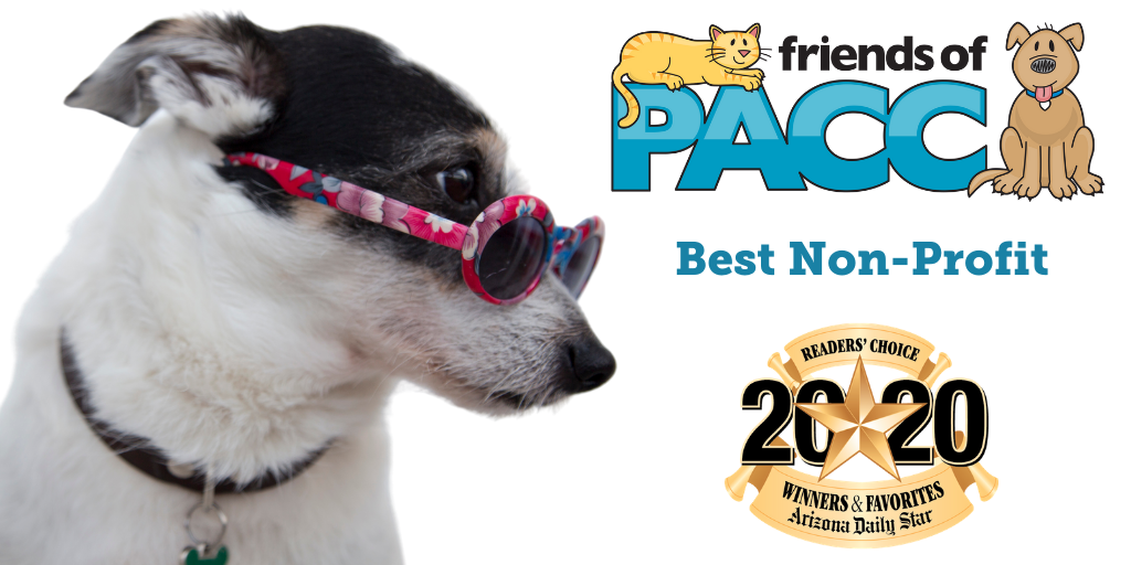 🐾 Vote for PACC Pets!