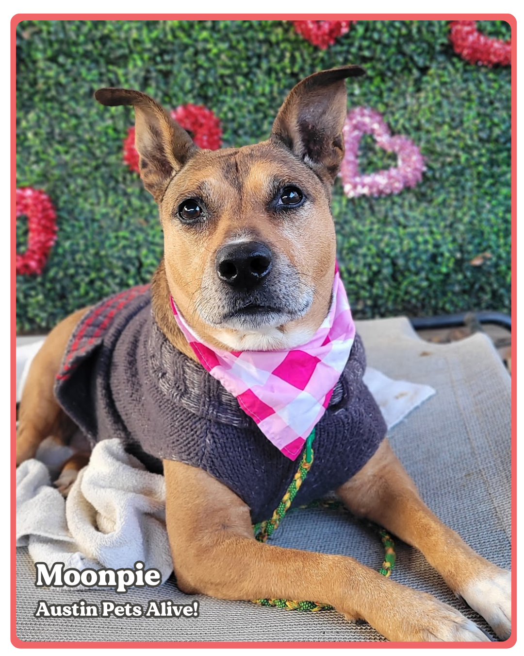 New Grants, Social Work and Heart-Centered Marketing