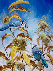 Limited Edition Blue Jay Print Now Available!