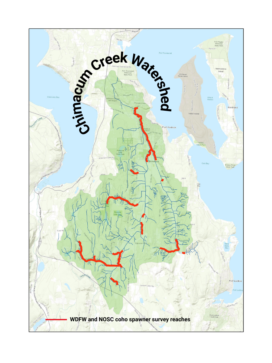 February Newsletter: Caldero, Coho, and Art Contest