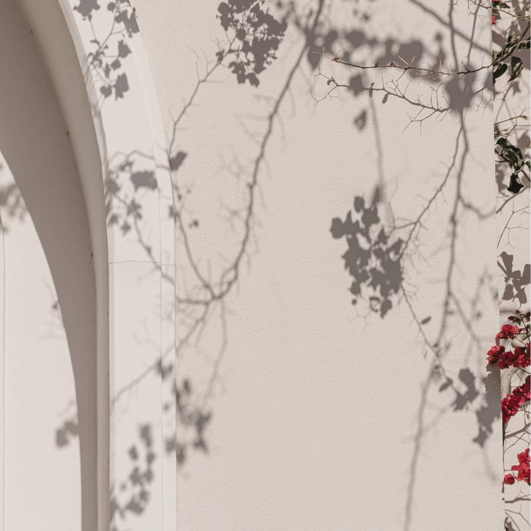 Shifting Shadows 7/8/25