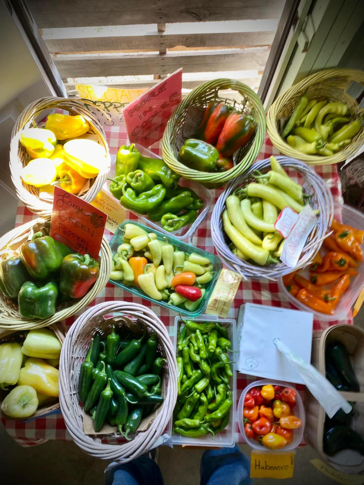 Fall Family Fun All Weekend! Farm Fest Is Saturday! Tara Goes To ...