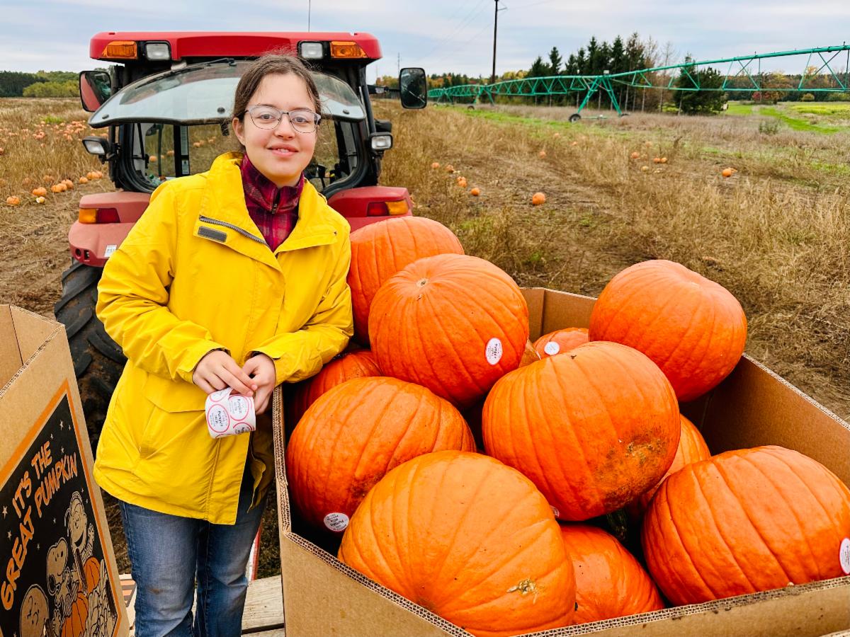 Fall Fun All Weekend! End of Season Store-Wide Sale! Buy 3 Pumpkins Get ...