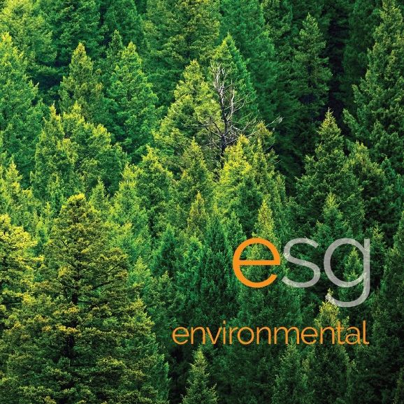 Email from Array Marketing