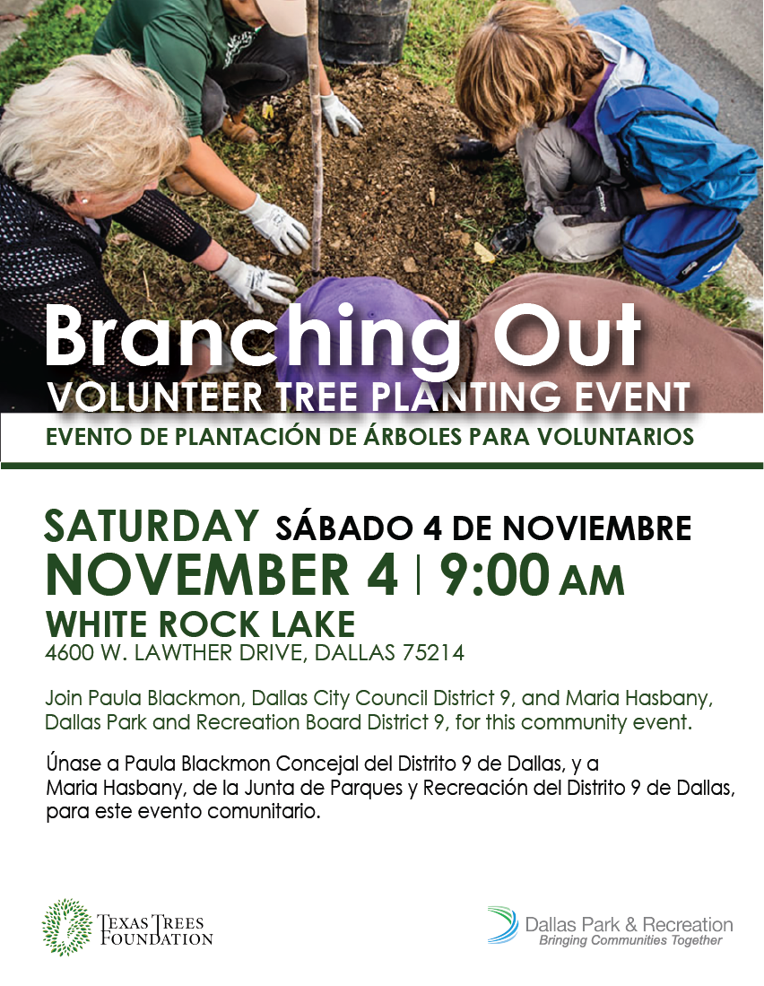 District 9 News & Updates