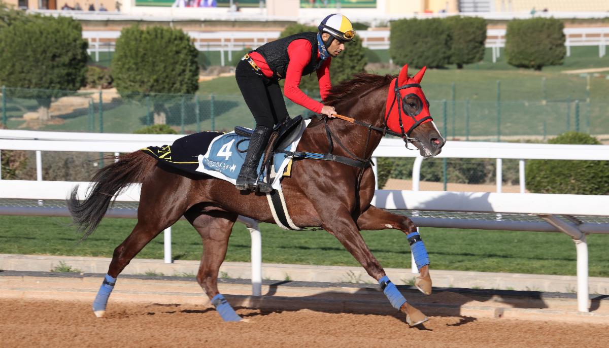 2024 Obaiyah Arabian Classic Preview