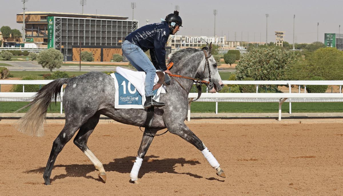 2024 Obaiyah Arabian Classic Preview