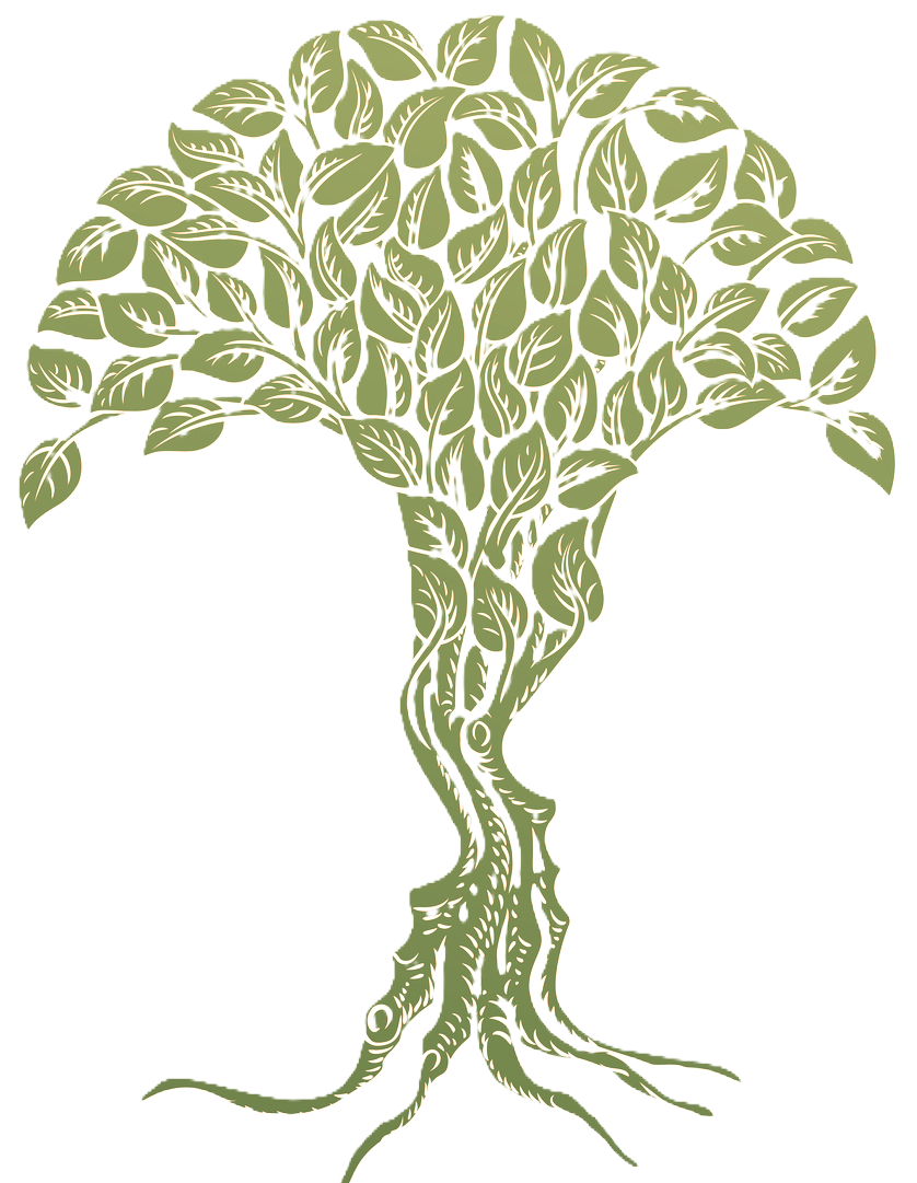 MBGH 45th Annual Conference May 6-7, 2025