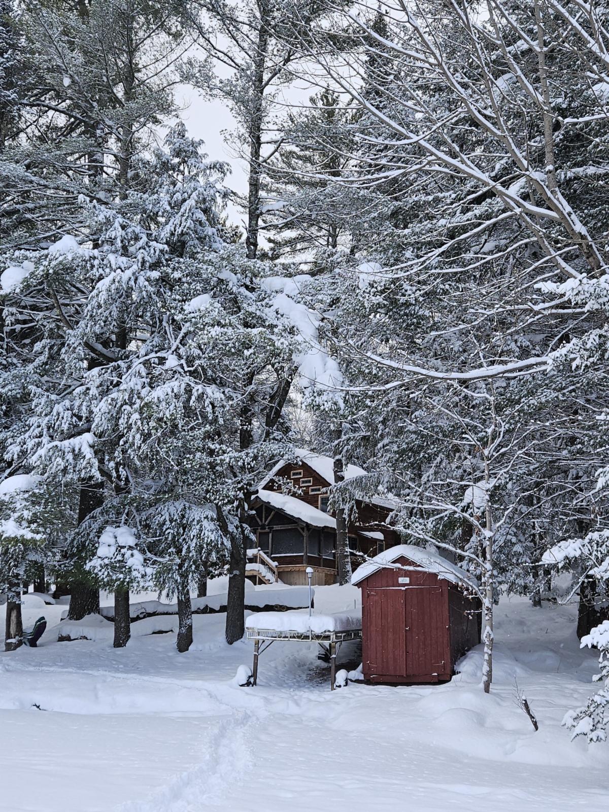 Inside Cold Point: Meet President Steve Schreppel and Explore Our ...