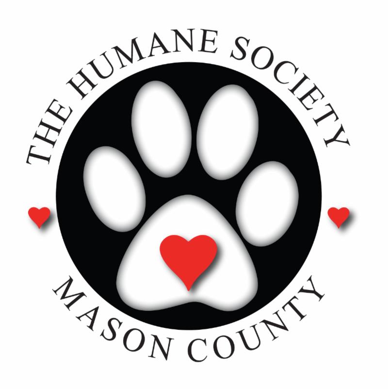 Give Local - Giving Wednesday