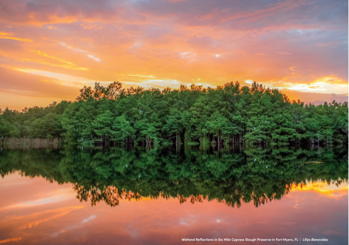 INVITATION: In-person CHNEP Citizen's Advisory Committee (CAC) Meeting ...