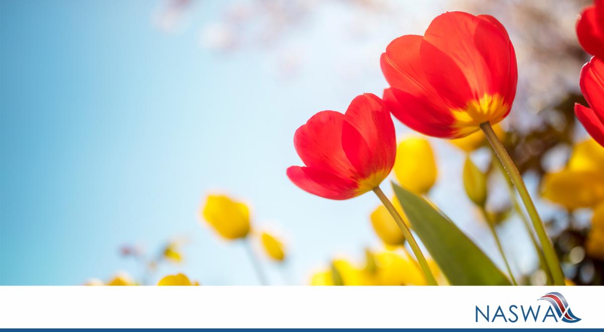 NASWA Newsletter - May 2020 | Volume 5 | Issue 5