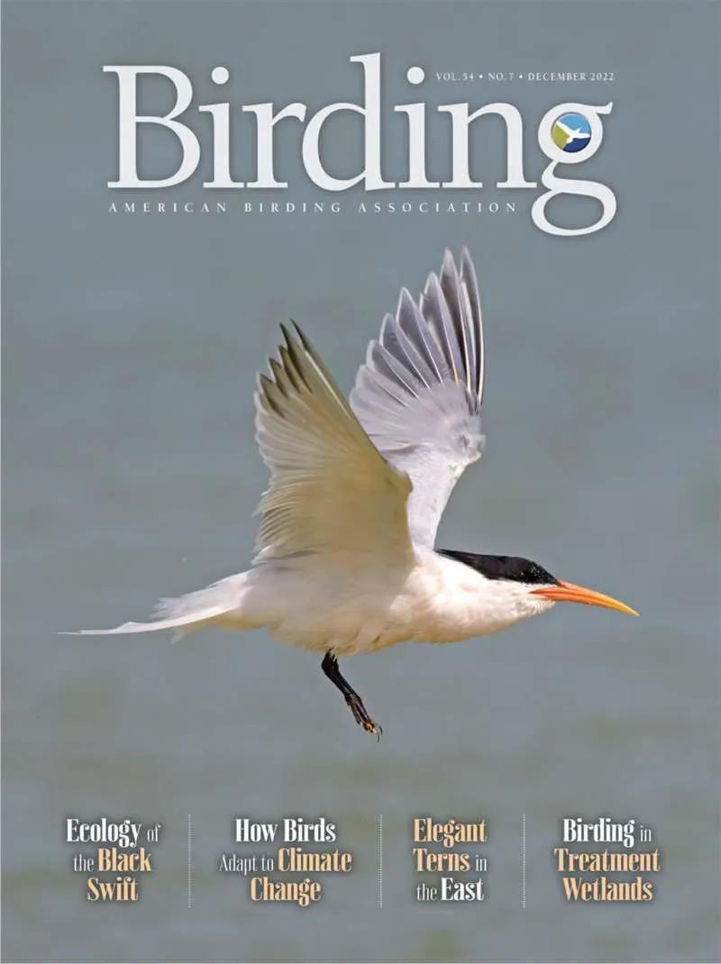 BROWN PELICAN MONTHLY NEWSLETTER DECEMBER 2022