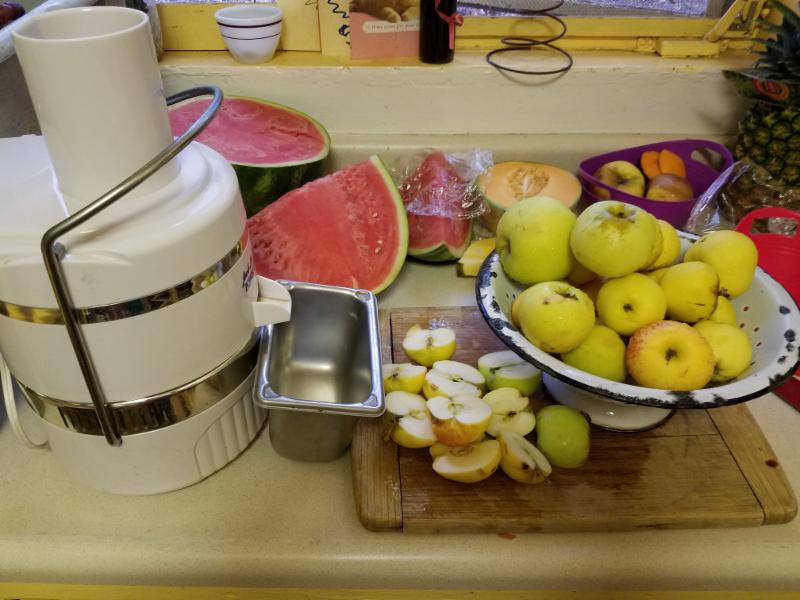 Shasta Crayfish Diet - downloadgala