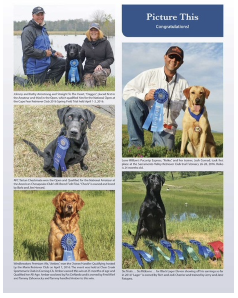 The Retriever Newsletter – Weeks 44-45