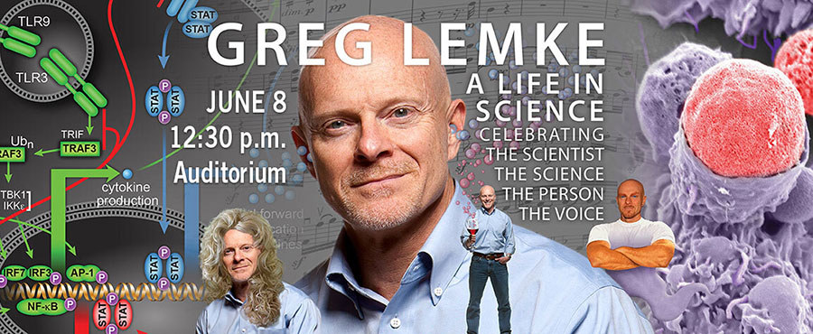 Salk This Week - News You Can Use!