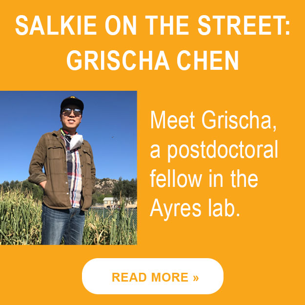 Salk This Week - News You Can Use!