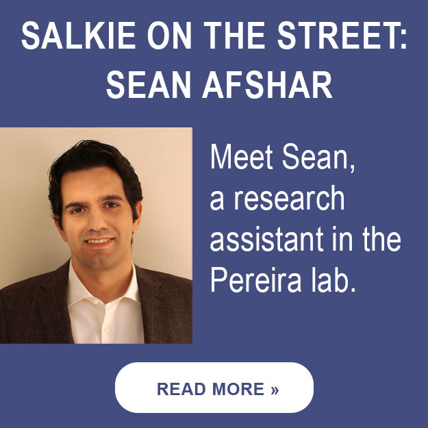 Salk This Week - News You Can Use!