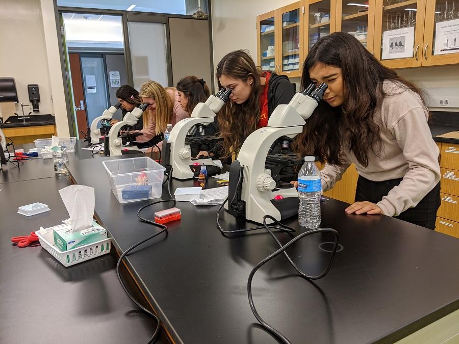 COCC’s Preview Day to Host Hundreds of High Schoolers