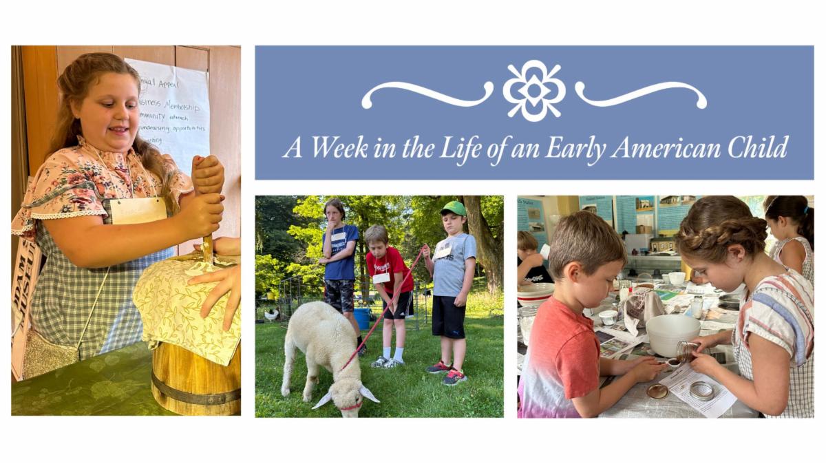 News from the Museum