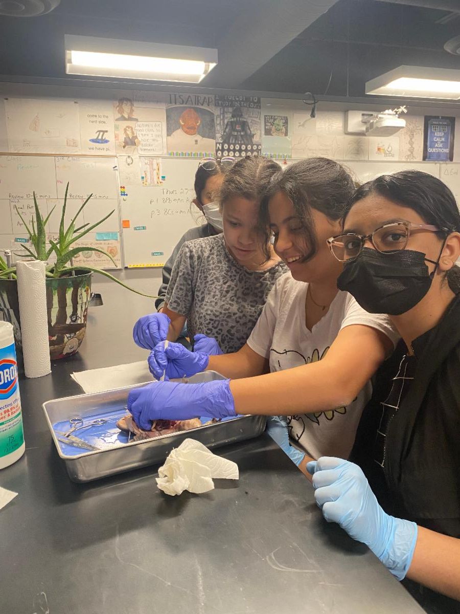 The BASIS Chandler Paw Print