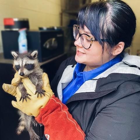 Code 3 Associates Training Updates