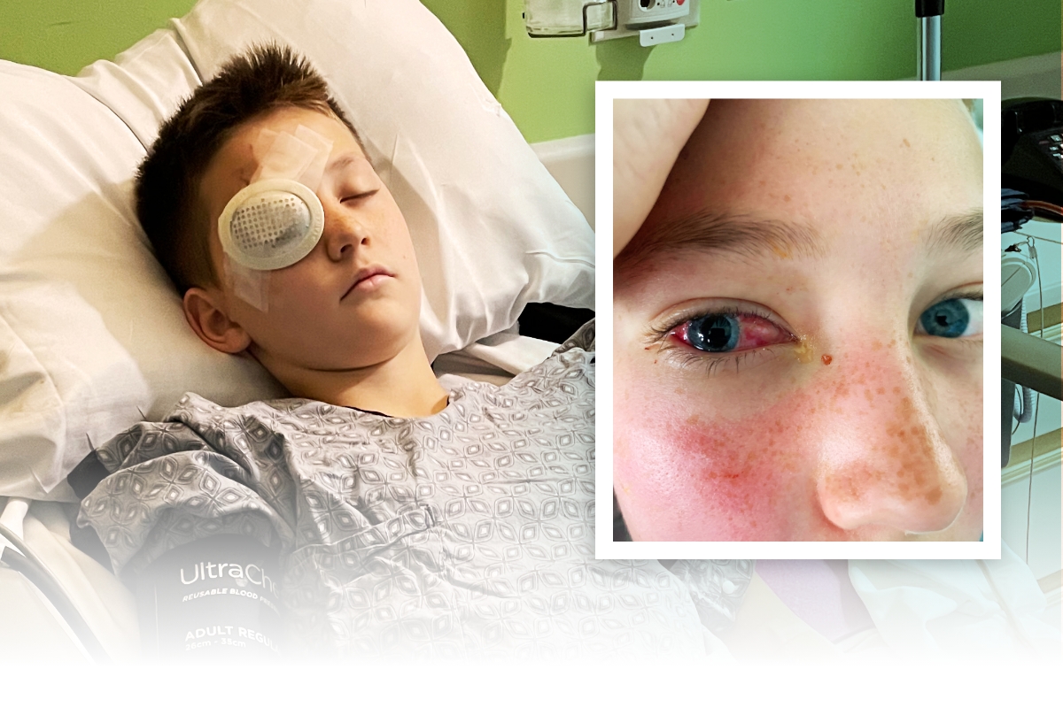 Friend, do you want to make holiday magic?