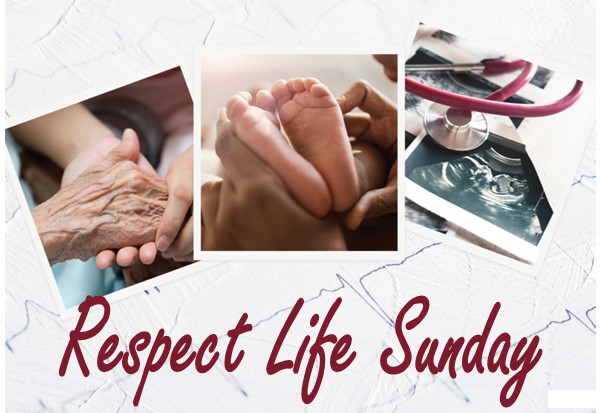 Your weekly eNews is here!