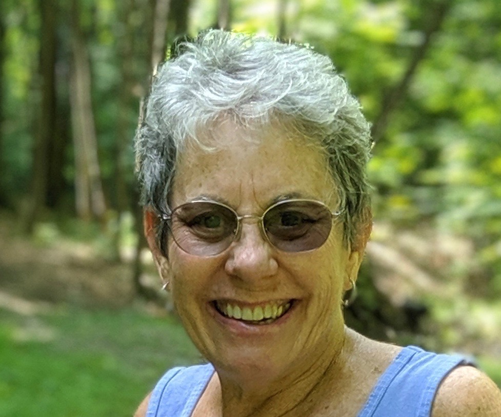 Anatomy of a Project