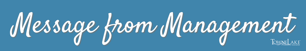 Message from Management