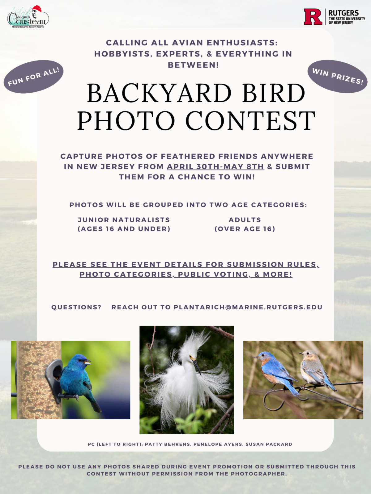 2025 JC NERR Backyard Bird Photo Contest