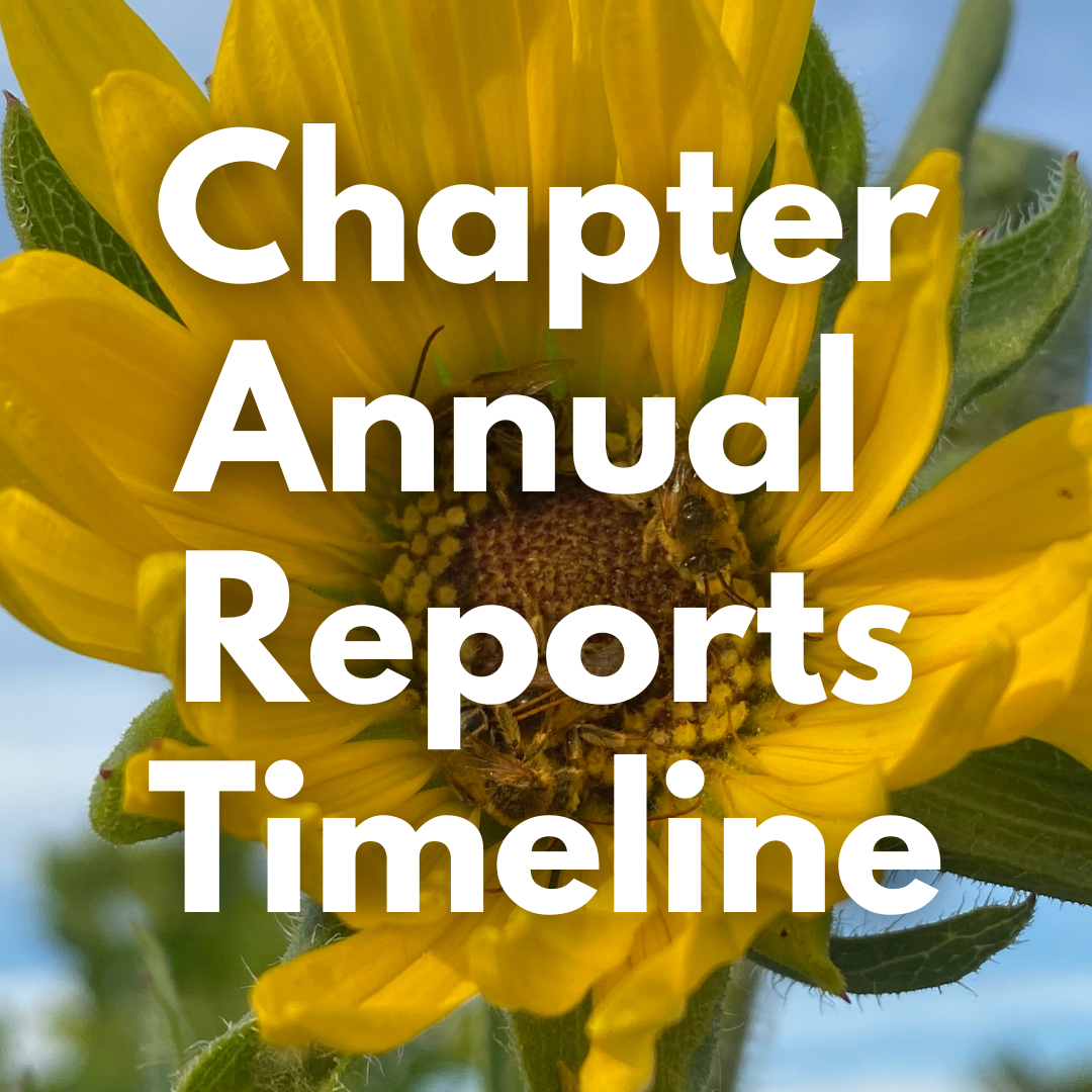 October Chapter Officer Newsletter