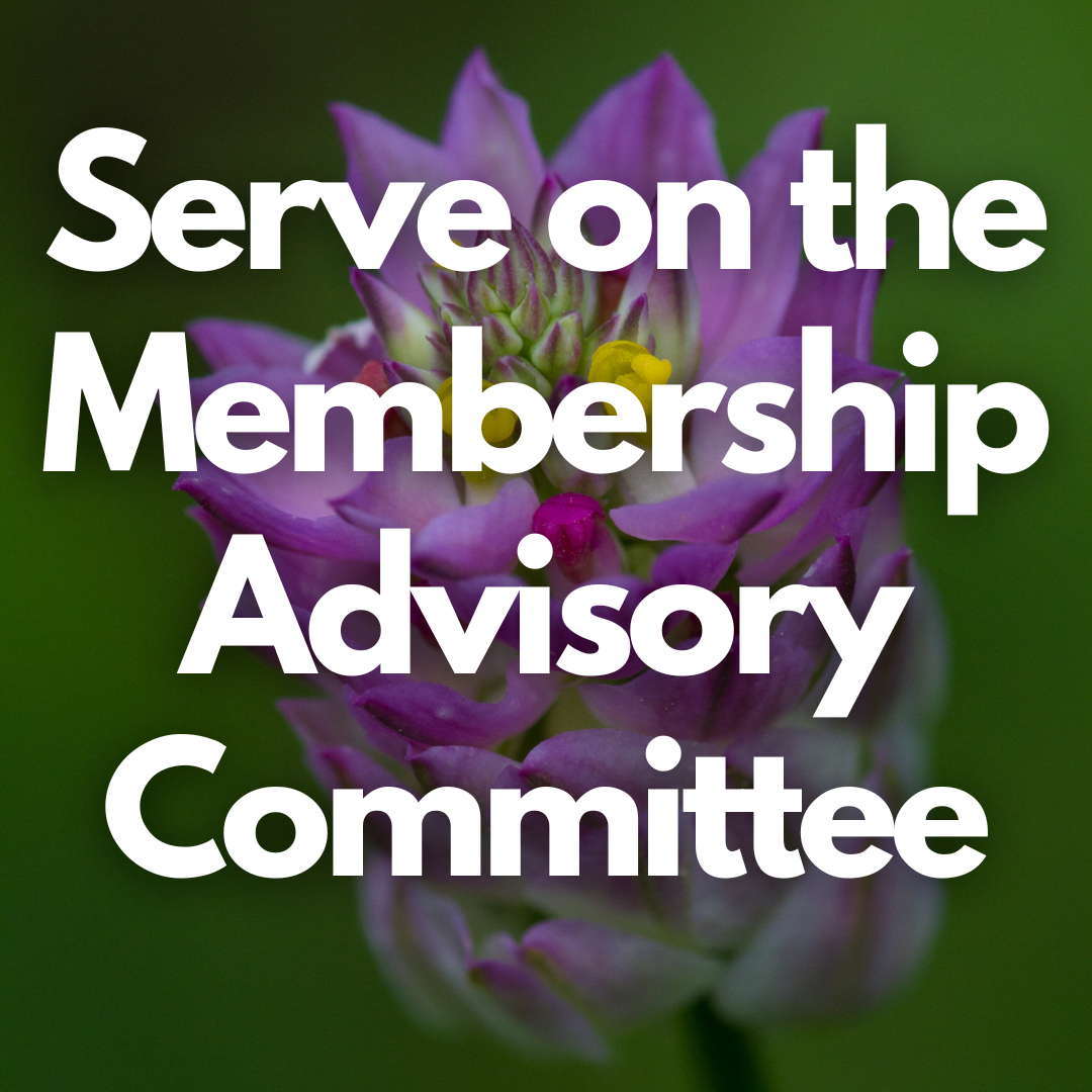 June Chapter Officer e-Newsletter