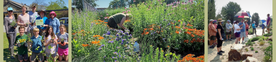 2022 State of the Chapter Report is LIVE!