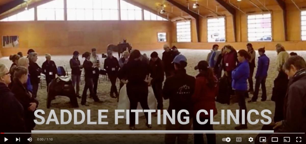 The Superiority of Wool Flock Saddles Over Synthetic and Foam Saddles