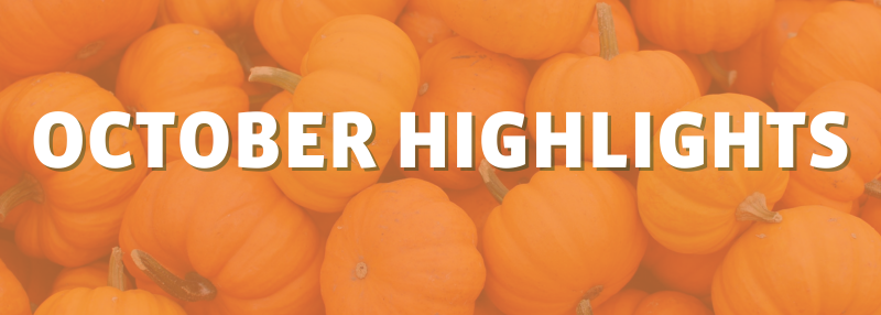 October Highlights 🎃