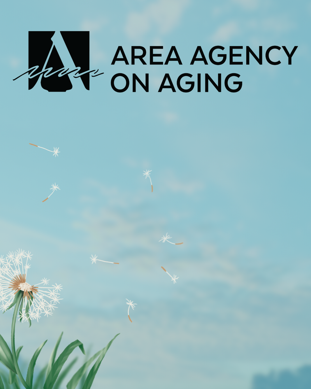 Area Agency on Aging: Focus in Five