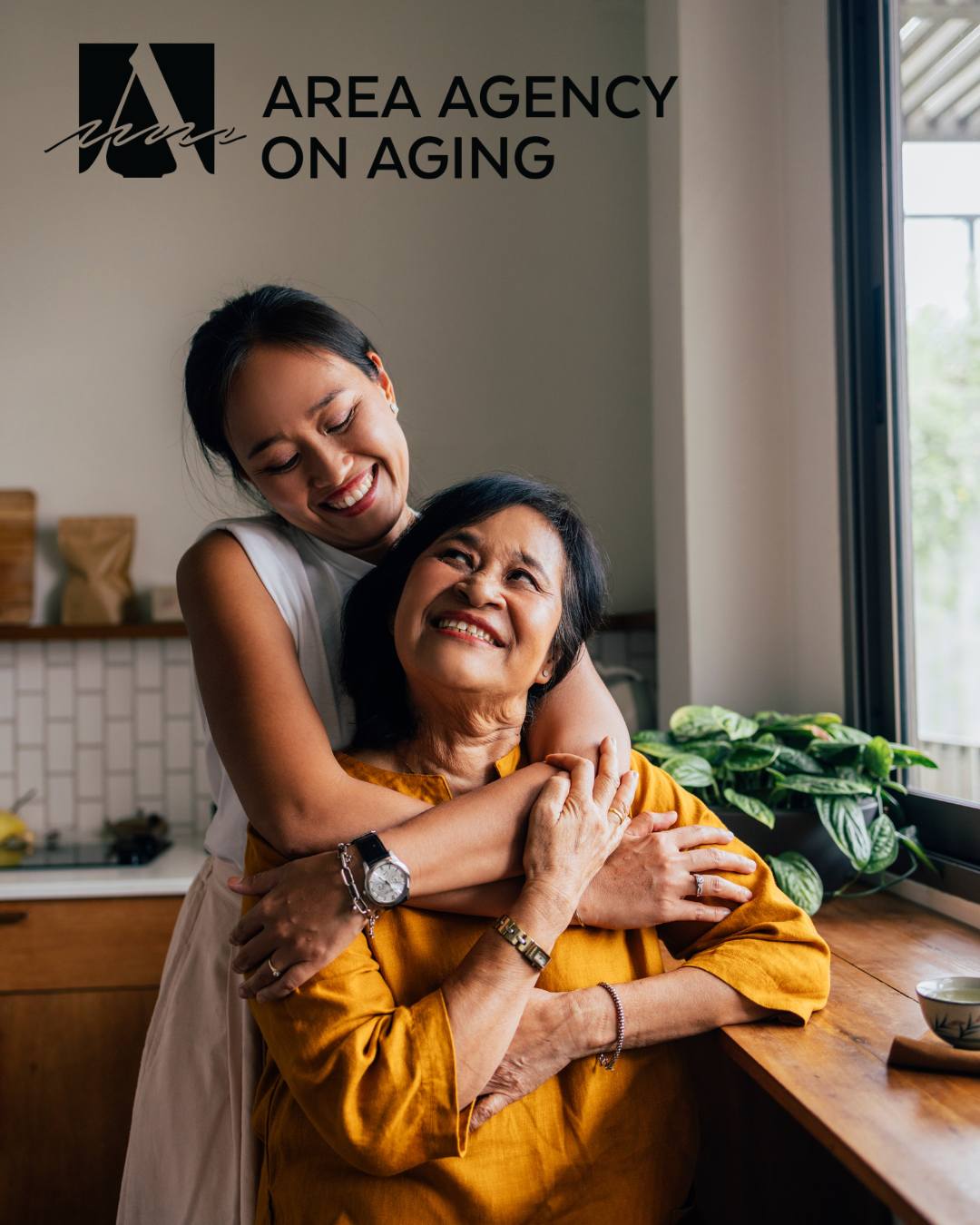 Area Agency on Aging: Focus in Five