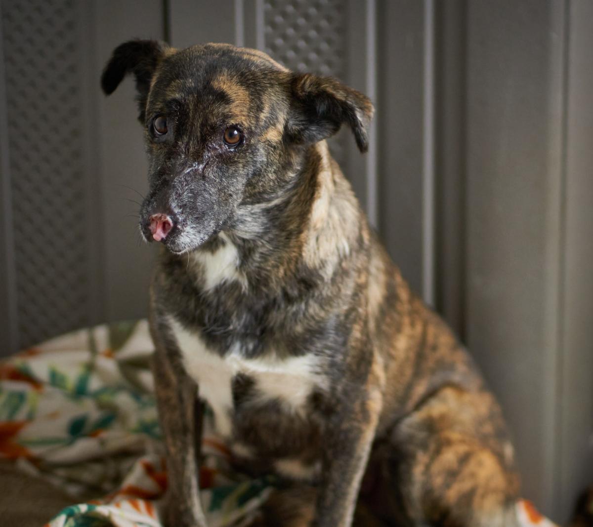 Fall is here! News from Home for Life!