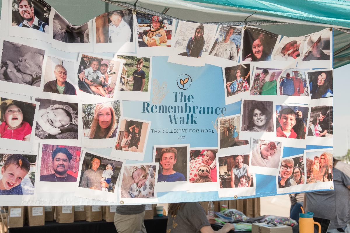 The Remembrance Walk Wrap-Up