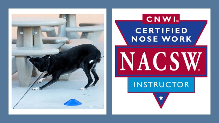 NACSW K9 Nose Work® Instructor Training and Certification Course (CNWI ...