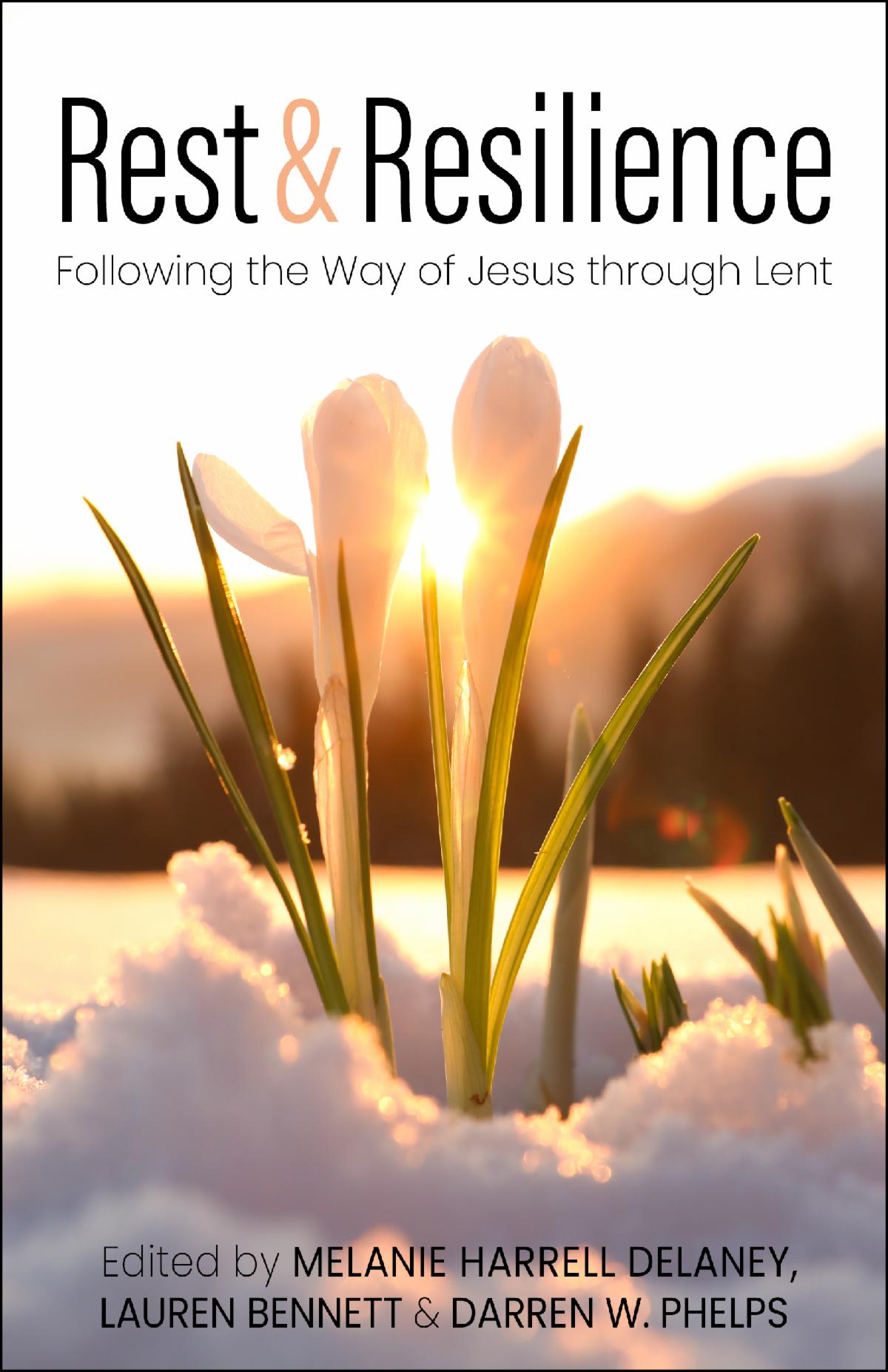 Now Shipping - Lent Devotional for 2025 - Facing Jerusalem by Terri Hord Owens