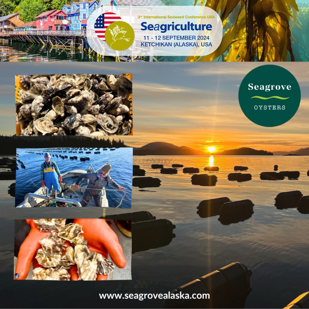 Your Ketchikan Chamber News~Grand Marshal, Susan Stone, Will Still Be ...