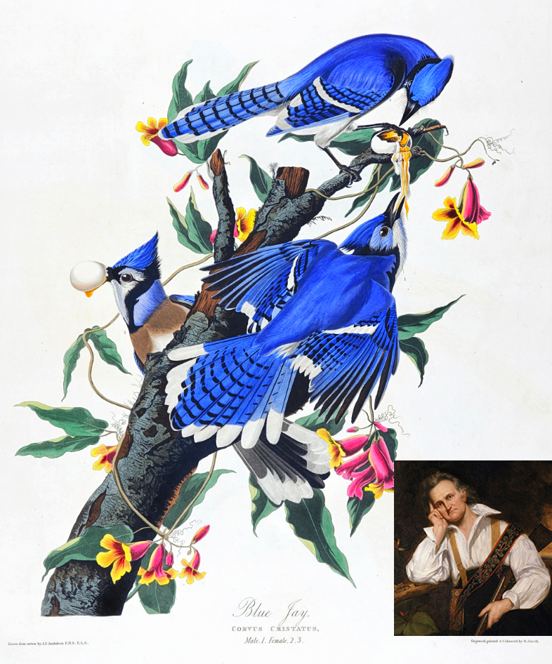 PAS Feb 2025 Wingtips Newsletter