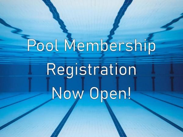 Mayor's Weekly Update