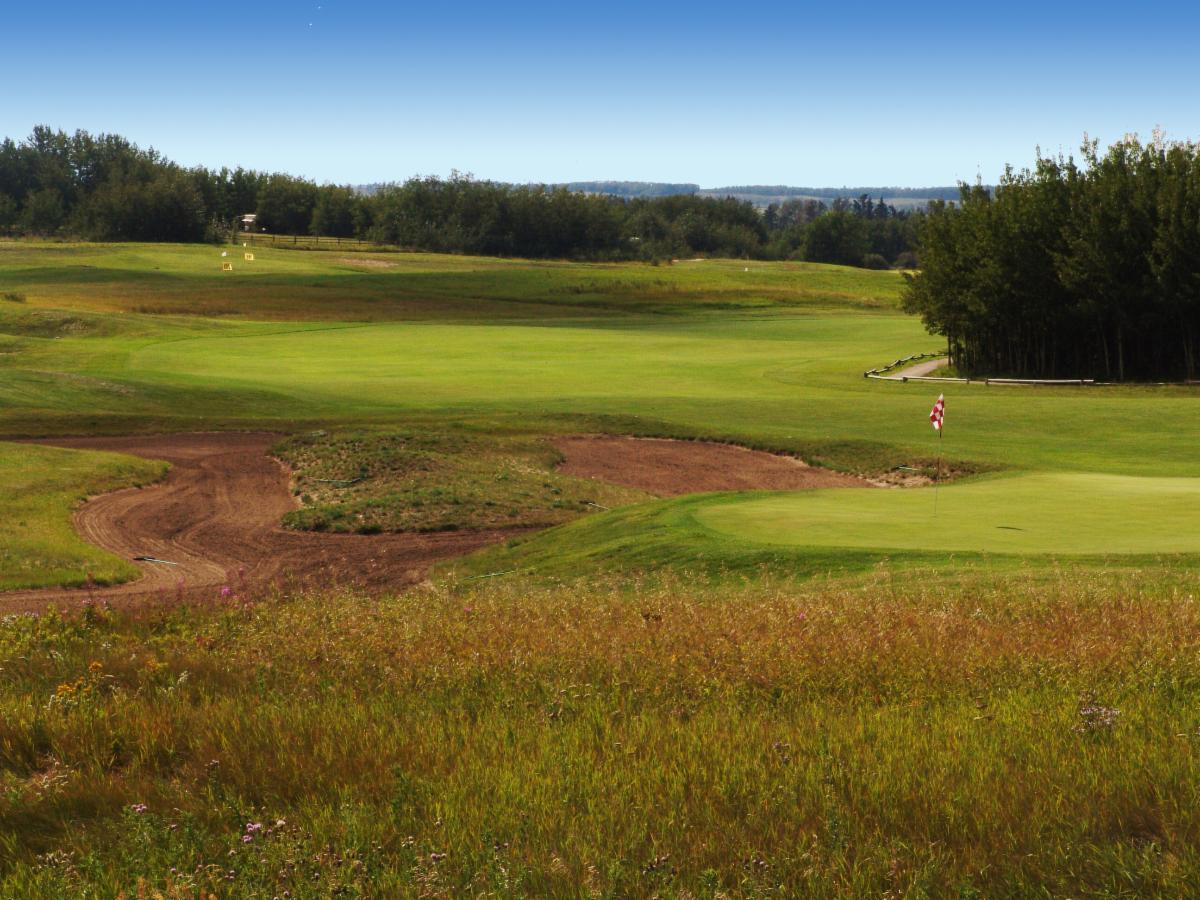 Links Course Fall Special