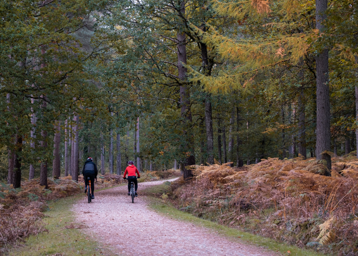 Check out our new interactive walking & cycling routes in the New Forest!