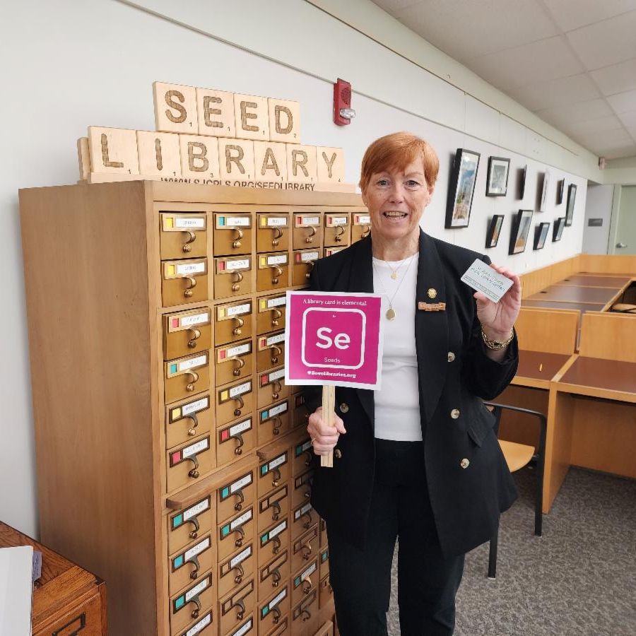 In the Stacks - Library Team Newsletter